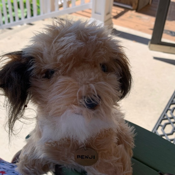Source Unknown | Toys | Vintage Benji Plush 9 Inches Tall In Excellent ...